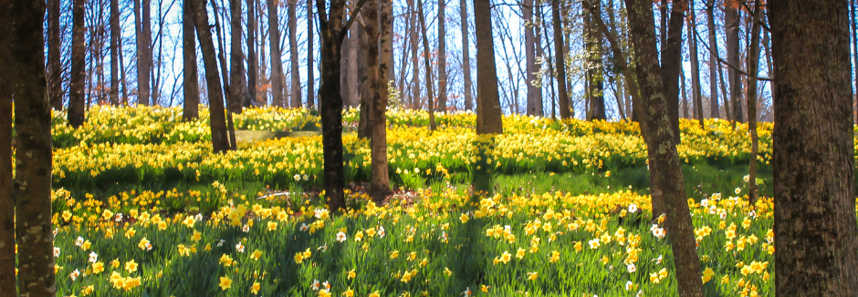 City Hall – City of Red Boiling Springs